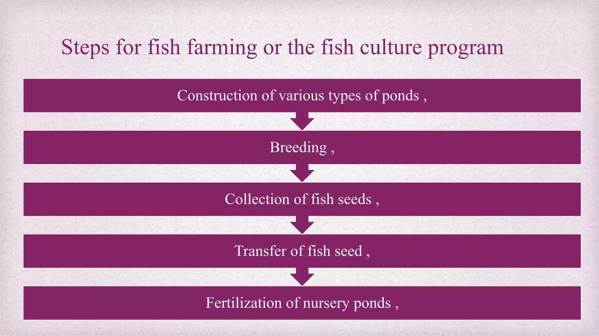 Monoculture (aquaculture) | PPTX