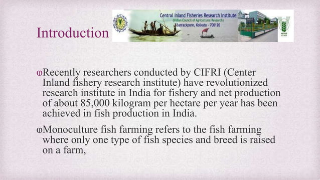 Monoculture (aquaculture) | PPTX | Fishing Sports | Sports