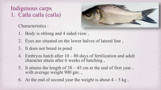 Monoculture (aquaculture) | PPTX | Fishing Sports | Sports