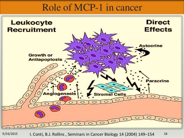 Monocyte chemoattractant protein 1(mcp-1)