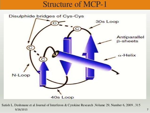 Monocyte chemoattractant protein 1(mcp-1)