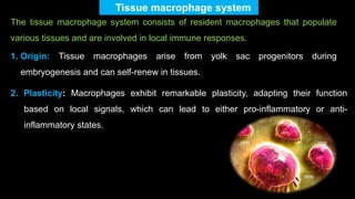 monocyte macrophage systemmmmmmmmmmmmmmmm | PDF
