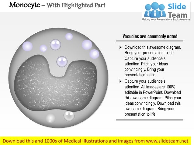 Monocyte medical images for power point