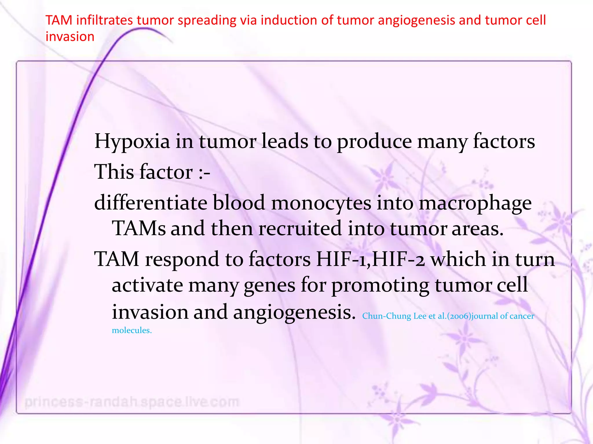 Monocytes macrophages in human cancer | PPTX