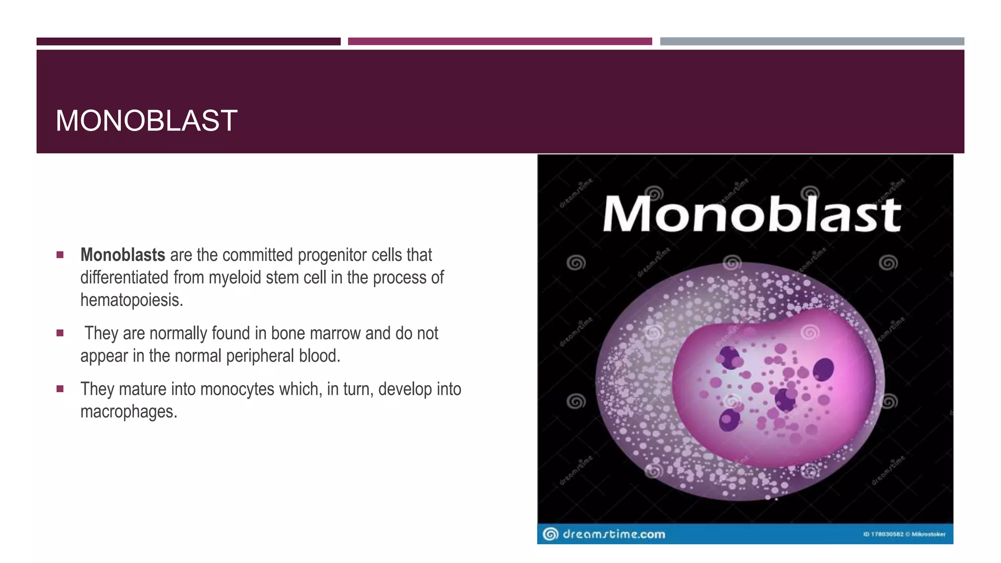 Monocytosis | PPTX