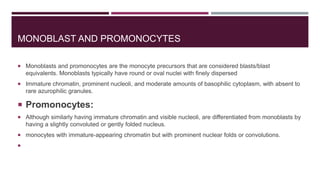 Monocytosis | PPTX