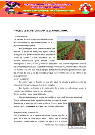 Monografia salsa de tomate - ketchup | DOC