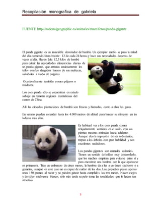 Monografia de gabriela san rroman { el oso panda } | DOCX