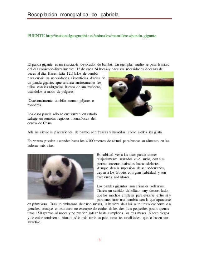 Animales de la selva características, qué comen, hábitat, ejemplos ...