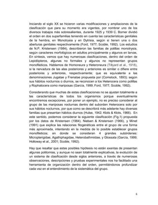 mariposas nocturnas | PDF