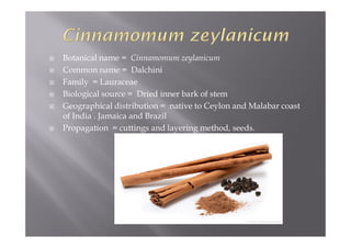 Monograph of ba drugs, cinnamomum and holarrhena | PDF