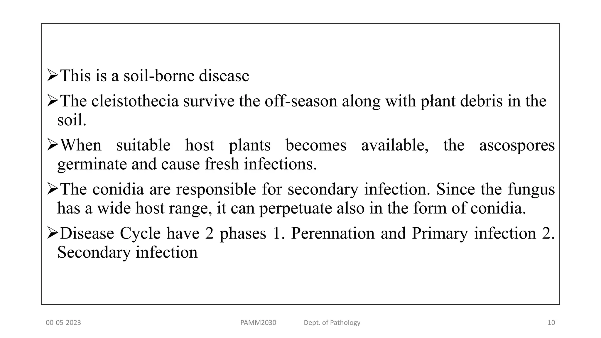 monograph of erysiphe cichoracearum by Sachin r kondaguri.pptx