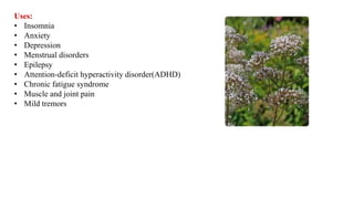 monographs of herbal drugs I.P, U.S.P, A.H.P, B.P..pptx