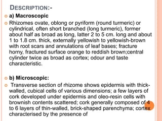 Monographs of siddha | PPT