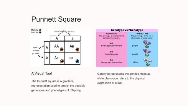 Monohybrid Cross and dihybrid cross.pptx