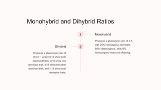 Monohybrid Cross and dihybrid cross.pptx