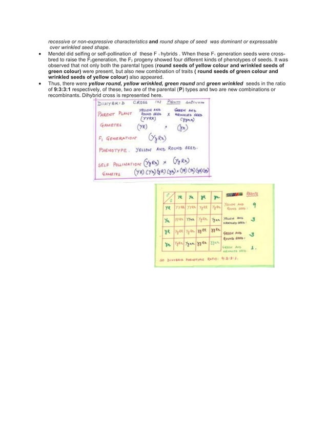 MONOHYBRID AND DIHYBRID CROSS.pdf