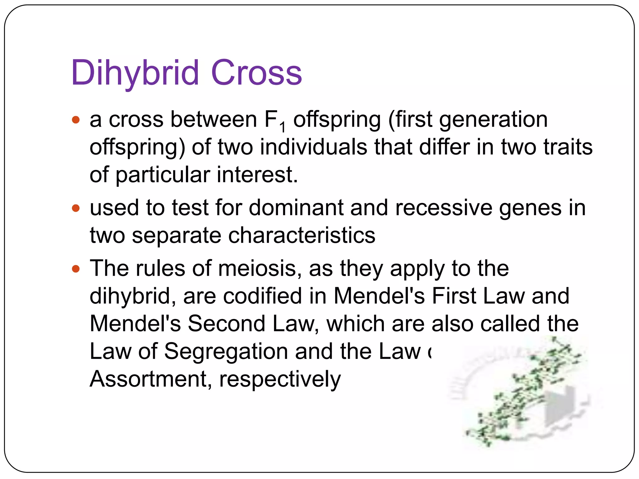 Monohybrid and dihybrid cross(1) | PPTX