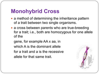 Monohybrid and dihybrid cross(1) | PPTX