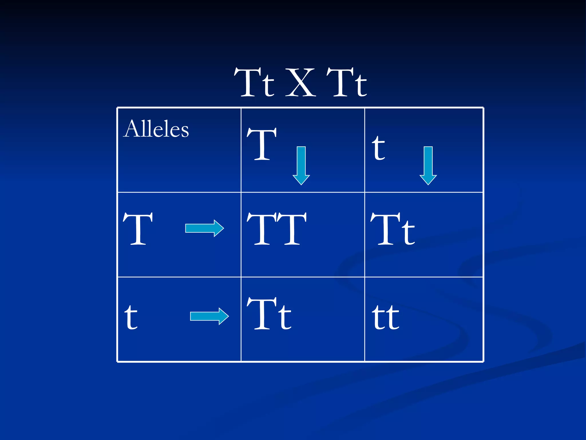 Monohybrid Cross Complete Dominance | PPT