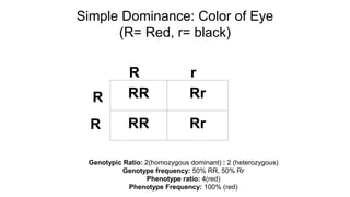 Monohybrid crosses | PPTX | Genetics | Science