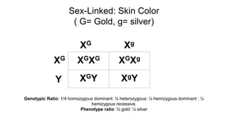 Monohybrid crosses | PPTX | Genetics | Science