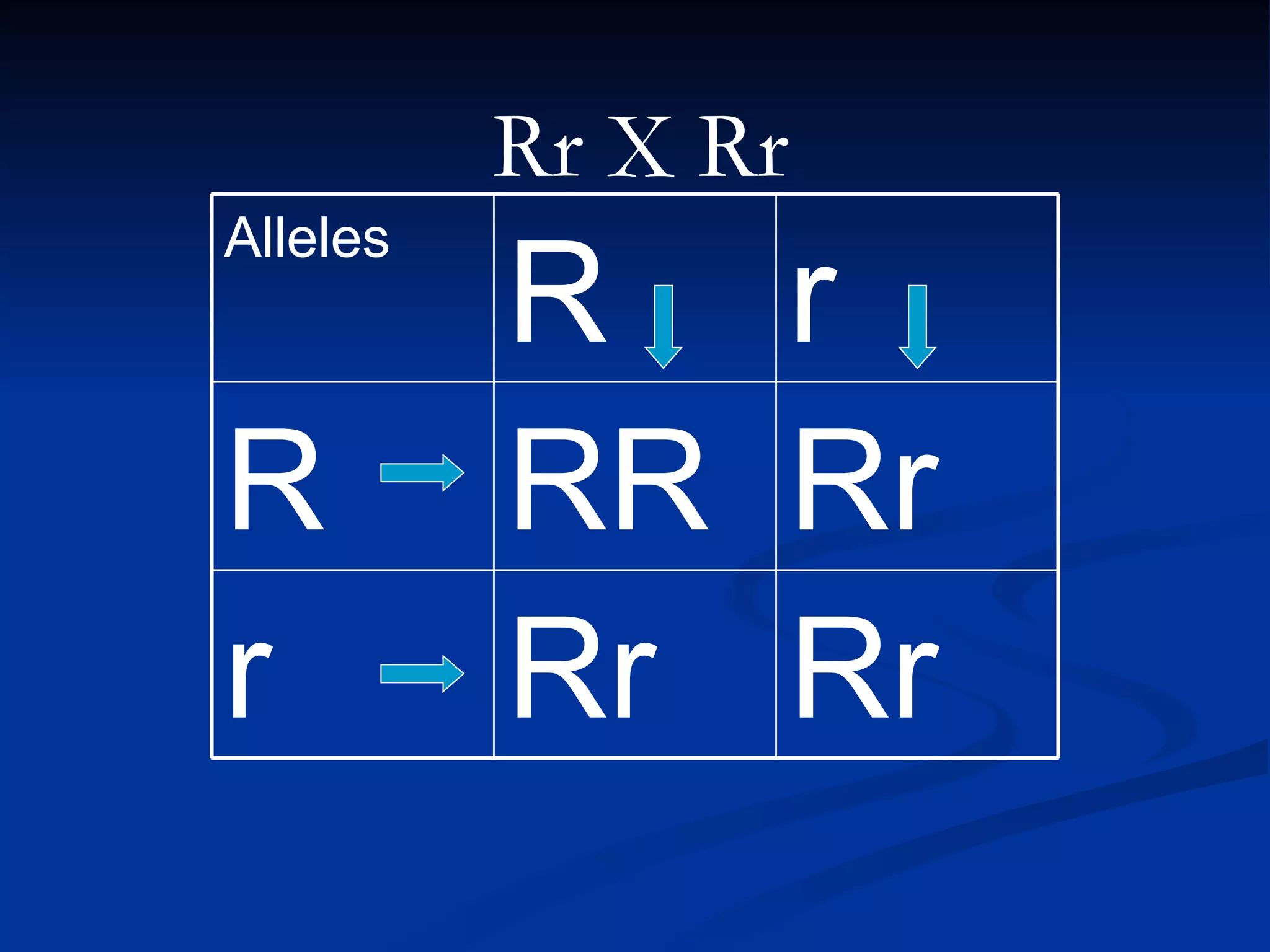 Monohybrid Cross Incomplete Dominance | PPT