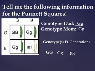 Monohybrid Cross Practice | PPT
