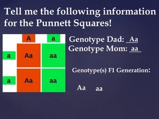 Monohybrid Cross Practice | PPT