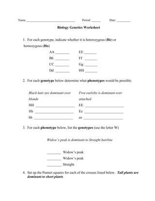 Monohybrid Cross WS | PDF