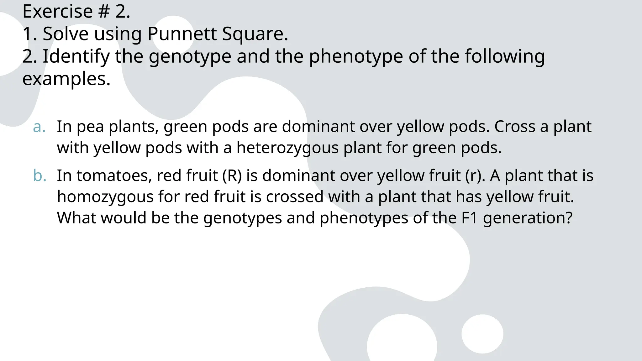 Monohybrid and Dihybrid Exercises...pptx
