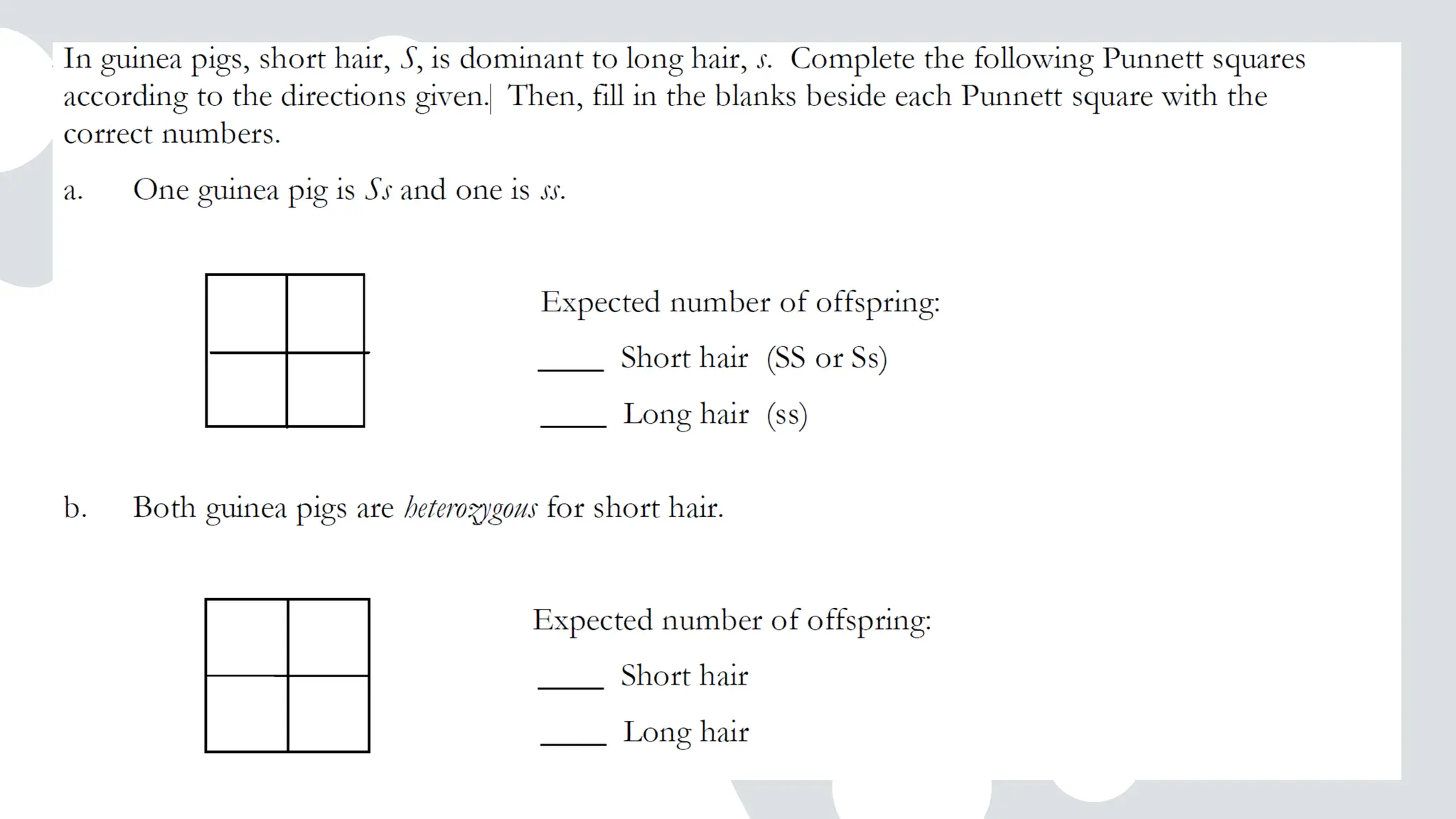 Monohybrid and Dihybrid Exercises...pptx