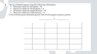 Monohybrid and Dihybrid Exercises...pptx