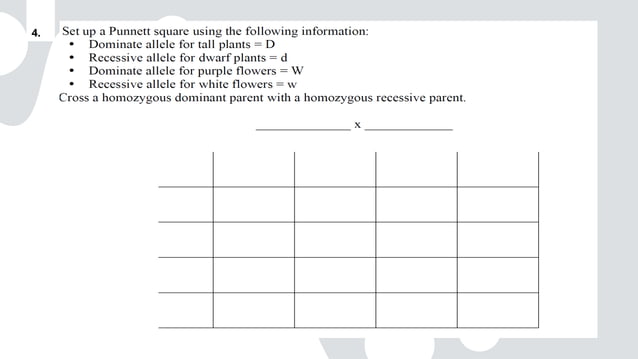 Monohybrid and Dihybrid Exercises...pptx | Genetics | Science