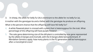 Monohybrid and Dihybrid Exercises...pptx