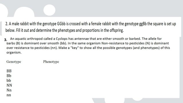 Monohybrid and Dihybrid Exercises...pptx | Genetics | Science