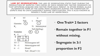 Monohybrid inheritance,laws of dominance and Law of segregation | PPT