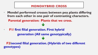 Monohybrid inheritance,laws of dominance and Law of segregation | PPT