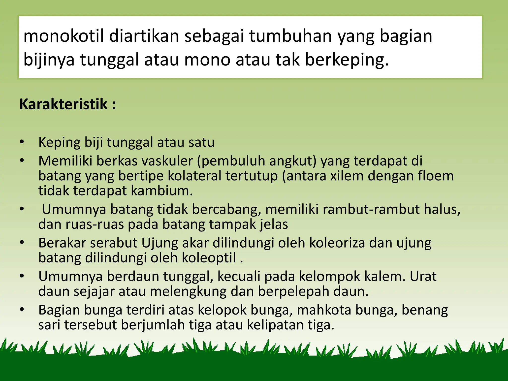 monokotil dan dikotil hidupybc_pptx.pptx