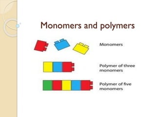 Monomers and polymers of organic compounds.pdf