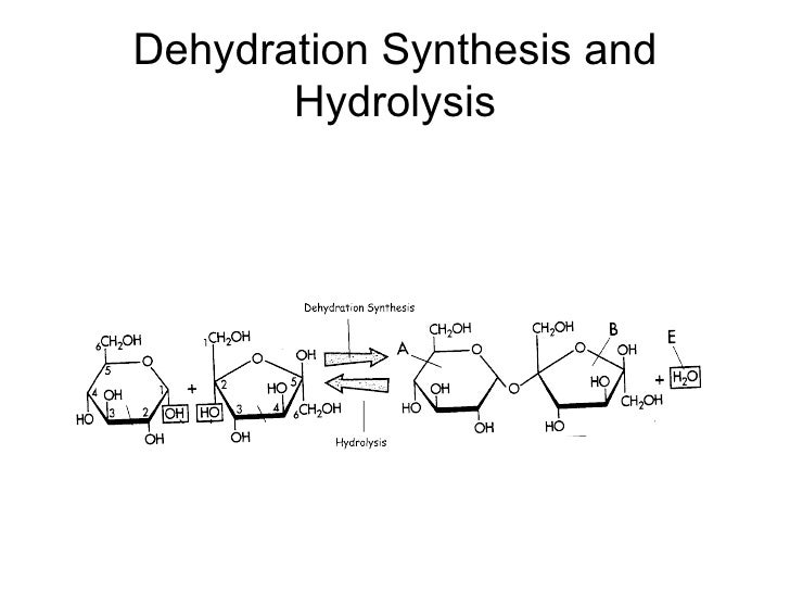 Monomer Vs Polymer
