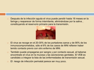 (2013-02-12) Mononucleosis infecciosa (ppt) | PPTX