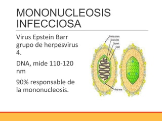 Mononucleosis infecciosa | PPTX