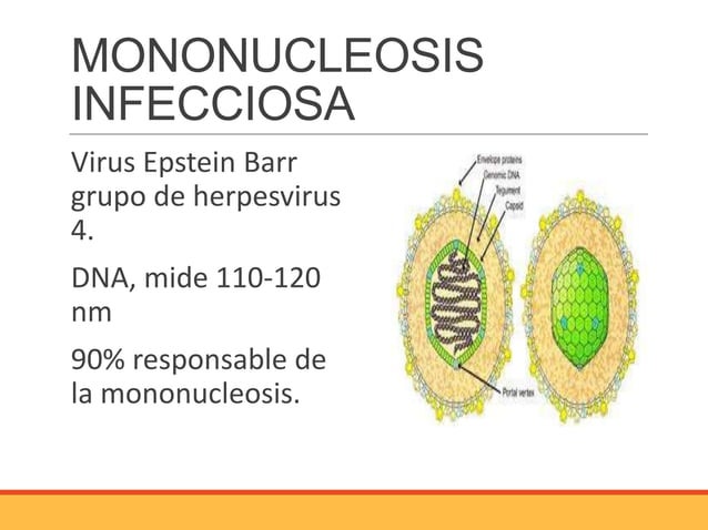 Mononucleosis infecciosa | PPT | Descarga Gratuita