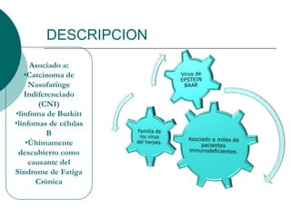 INFECTOLOGIA II - Mononucleosis Infecciosa | PPT