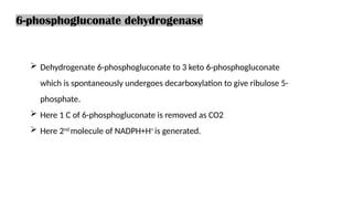 MONOPHOSPHATE-SHUNT-OVERVIEW-GROUP-7.pptx