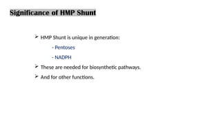MONOPHOSPHATE-SHUNT-OVERVIEW-GROUP-7.pptx
