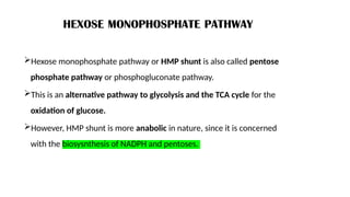 MONOPHOSPHATE-SHUNT-OVERVIEW-GROUP-7.pptx