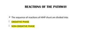 MONOPHOSPHATE-SHUNT-OVERVIEW-GROUP-7.pptx