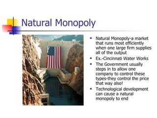 Monopolies and oligopolies | PPT